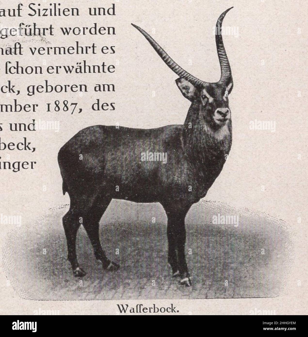 Antike/historische Vorstellungen / Bilder voller Perspektiven / Katalog ...