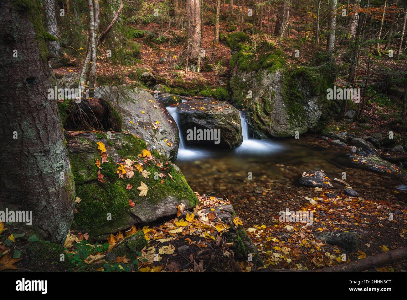 Wasserfall im Wald. Wasserfall im Nationalpark Bayerischer Wald ...