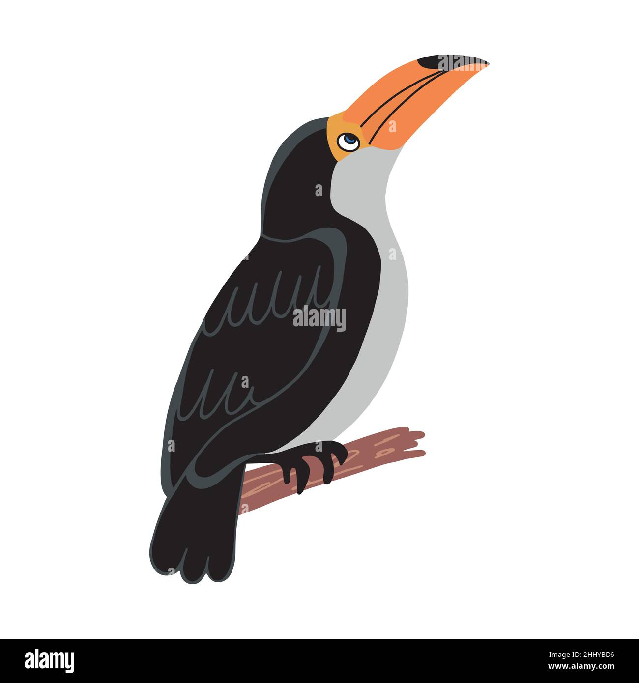 Tukan cartoon -Fotos und -Bildmaterial in hoher Auflösung – Alamy