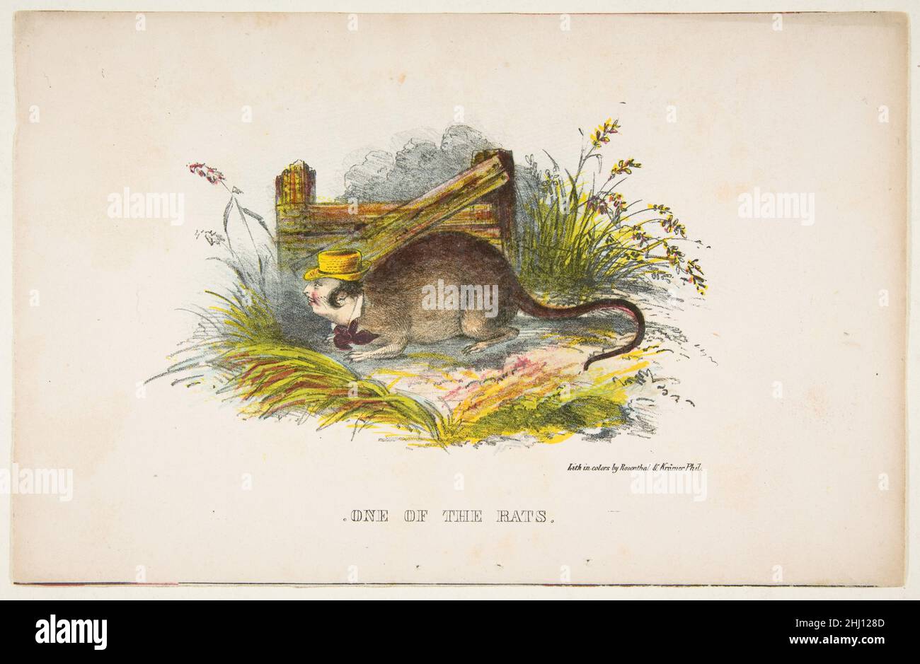 Einer der Ratten, aus der Comic-Naturgeschichte der menschlichen Rasse ...