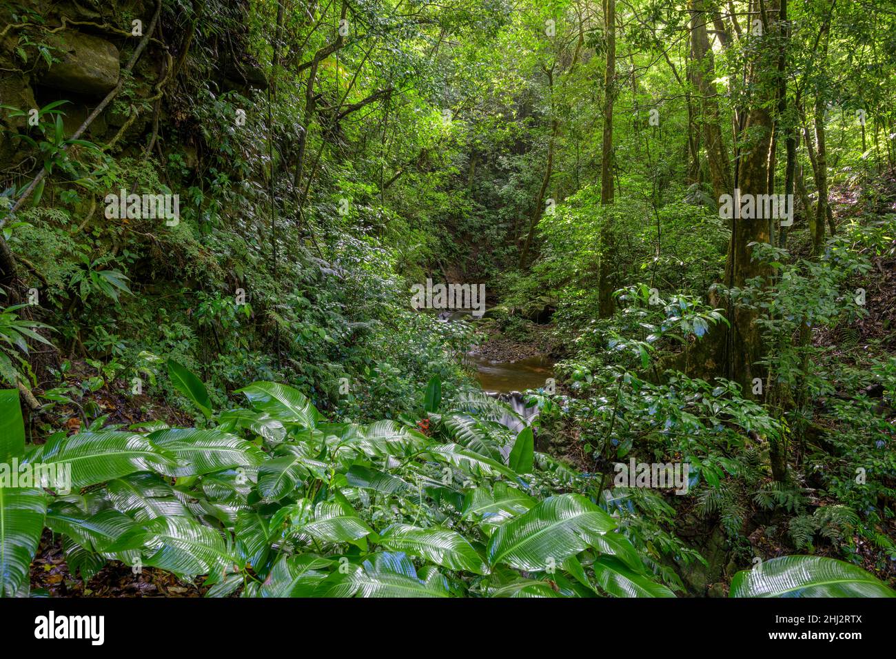 Curi cancha reserve -Fotos und -Bildmaterial in hoher Auflösung – Alamy