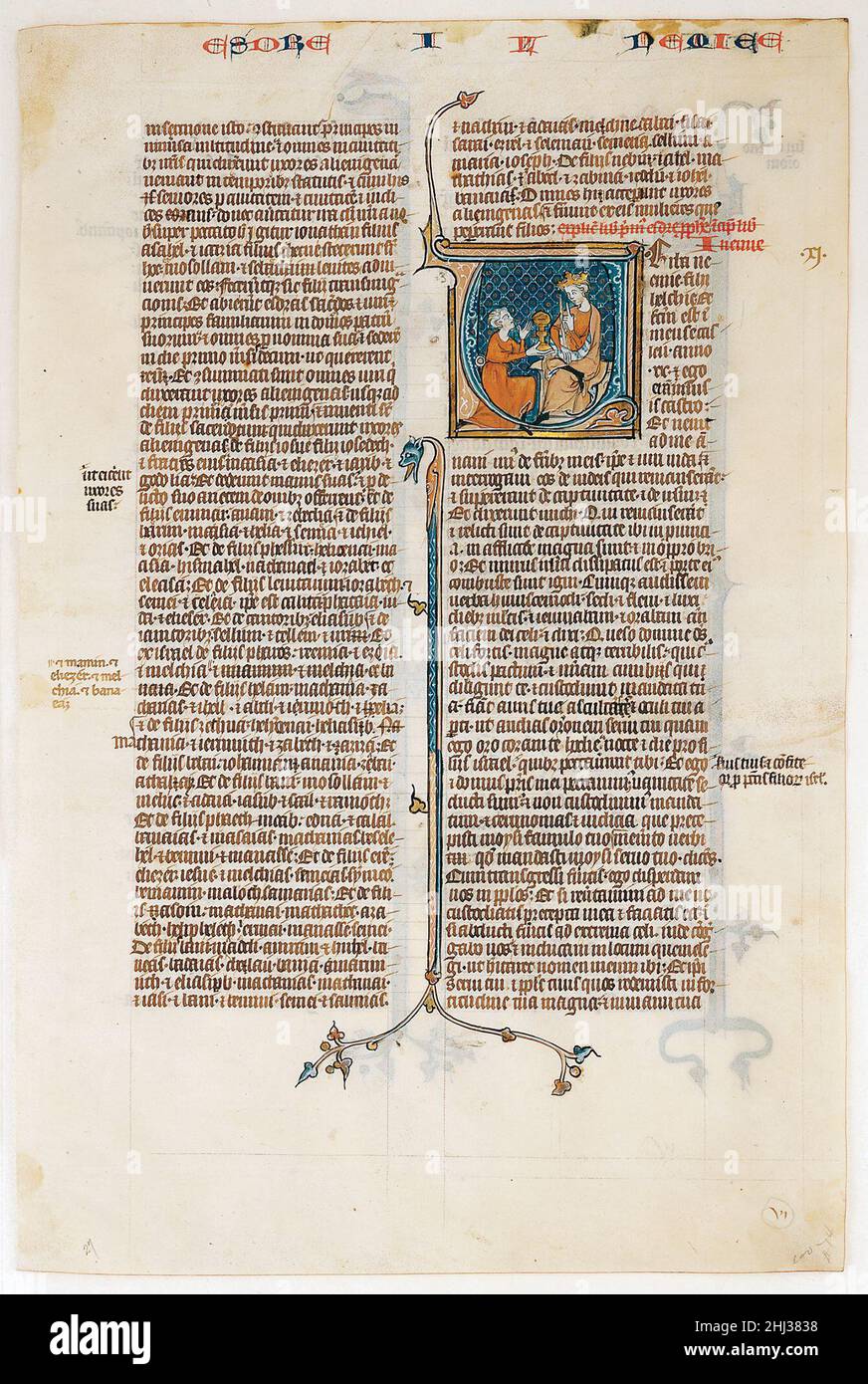 V mit blatt -Fotos und -Bildmaterial in hoher Auflösung – Alamy