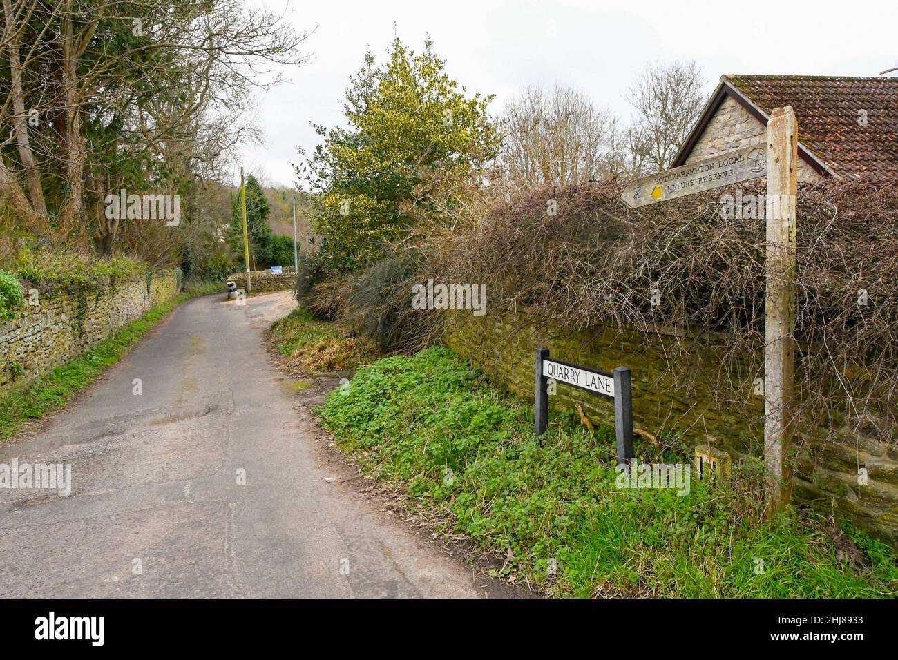 Bothenhampton, Bridport, Dorset, Großbritannien. 27th. Januar 2022 ...