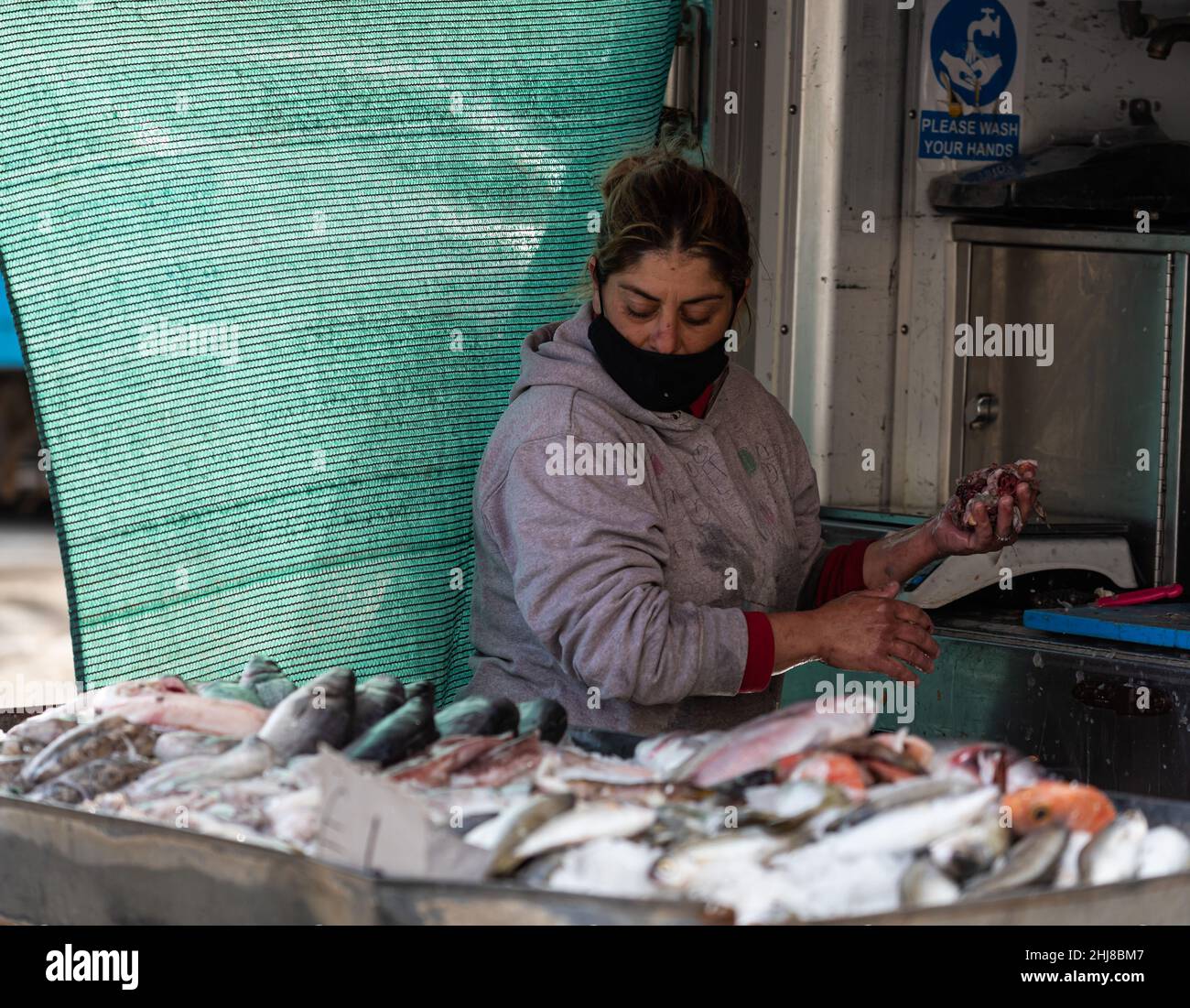Malta food fish -Fotos und -Bildmaterial in hoher Auflösung – Alamy