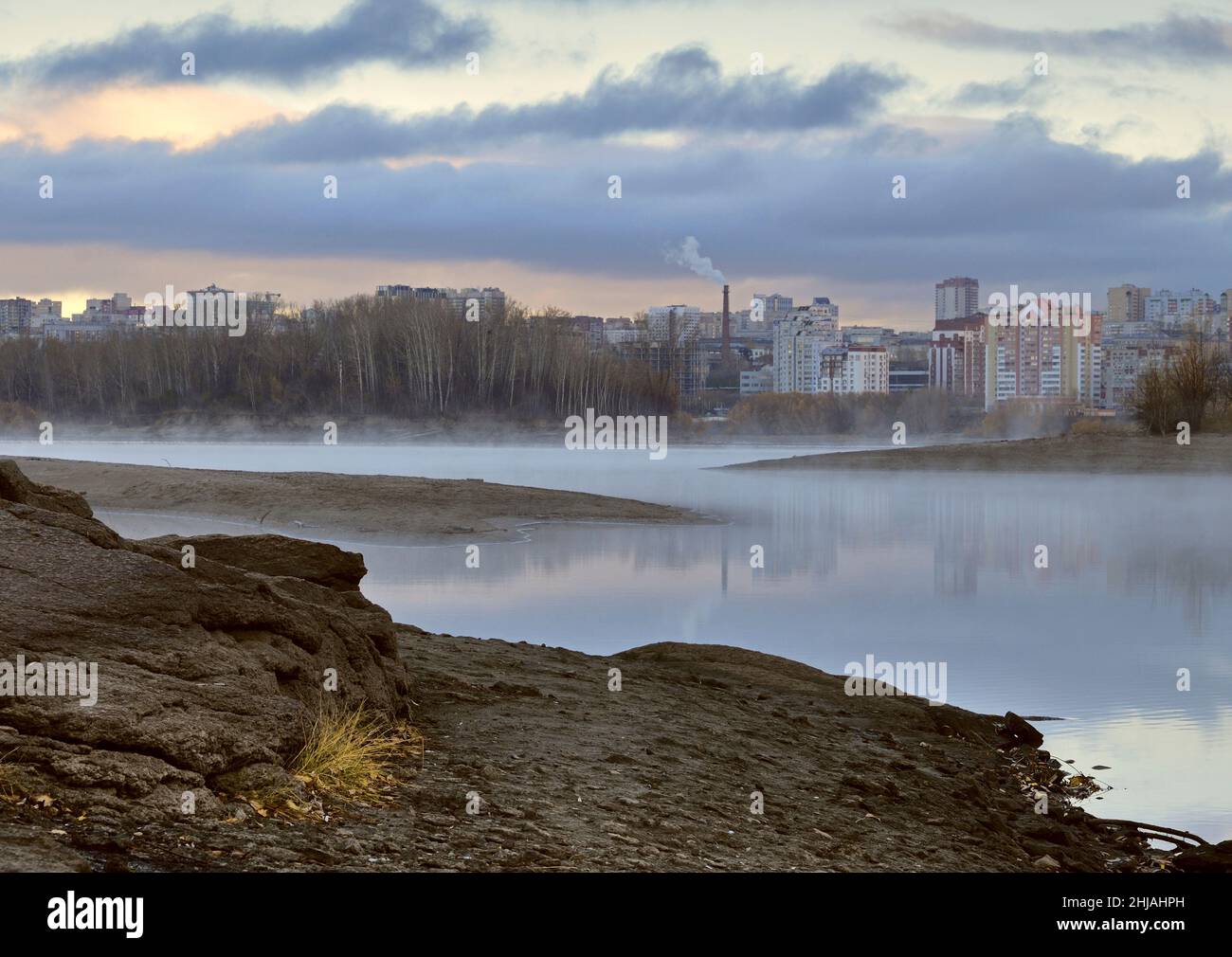 Ineinander verschlungene bäume -Fotos und -Bildmaterial in hoher ...