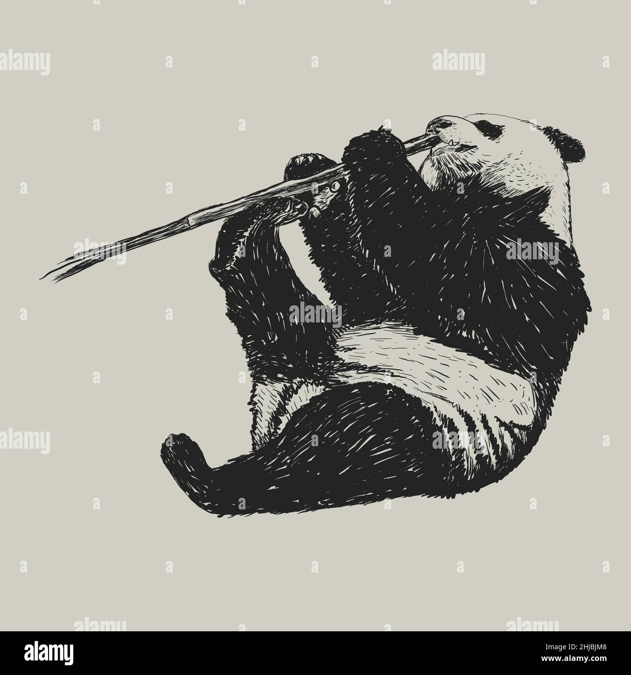 Panda Skizze Handzeichnung Stock-Vektorgrafik - Alamy