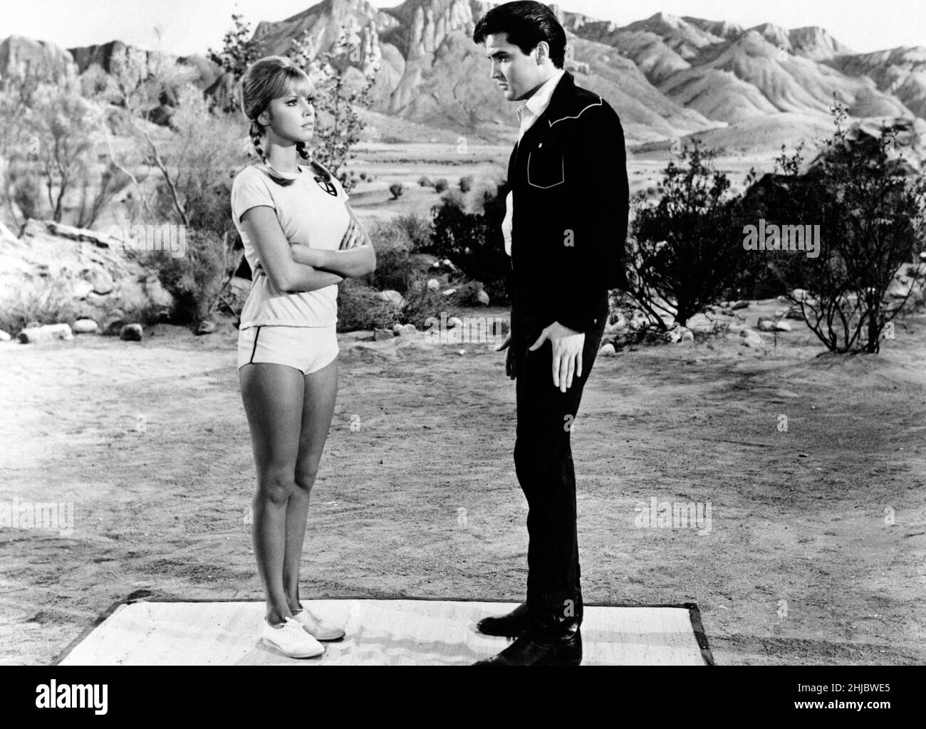 Tickle Me Jahr: 1965 USA Regie: Norman Taurog Elvis Presley Elvis ...