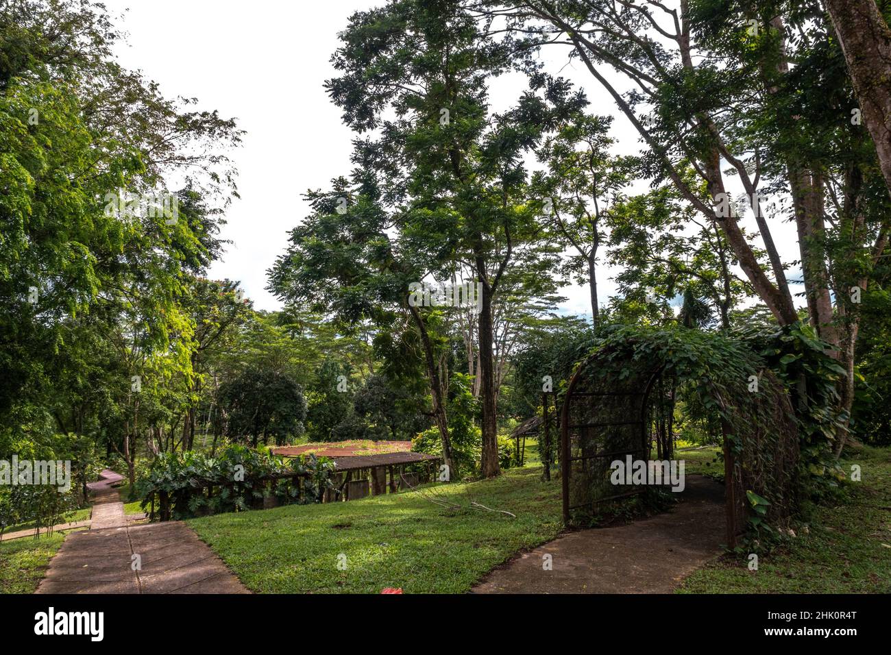 Alam seri -Fotos und -Bildmaterial in hoher Auflösung – Alamy
