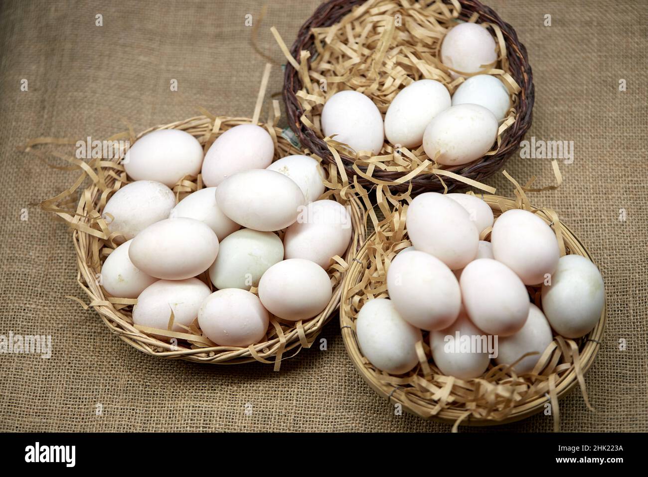 Enteneier im nest -Fotos und -Bildmaterial in hoher Auflösung – Alamy