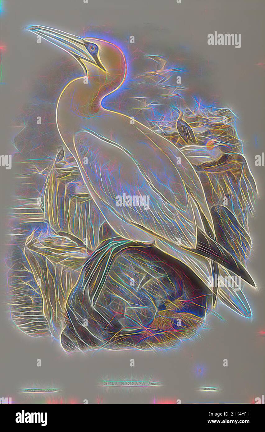 Solan goose -Fotos und -Bildmaterial in hoher Auflösung – Alamy