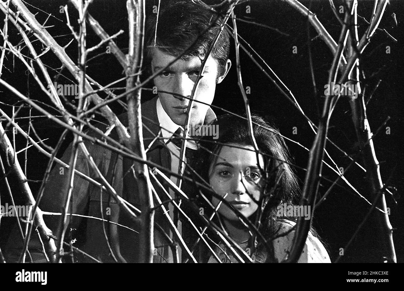 Violeta andrei -Fotos und -Bildmaterial in hoher Auflösung – Alamy