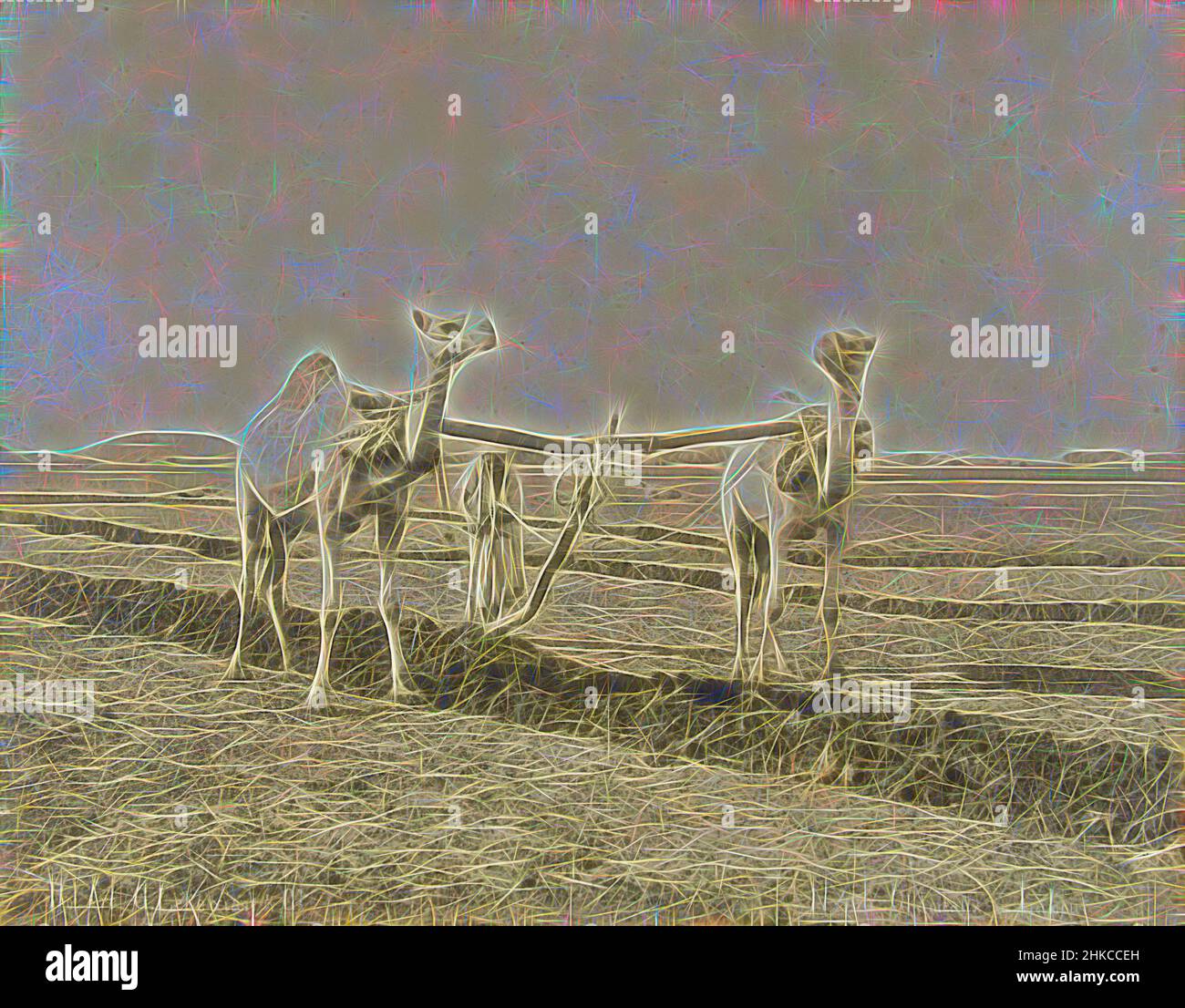 Man & donkey -Fotos und -Bildmaterial in hoher Auflösung – Alamy