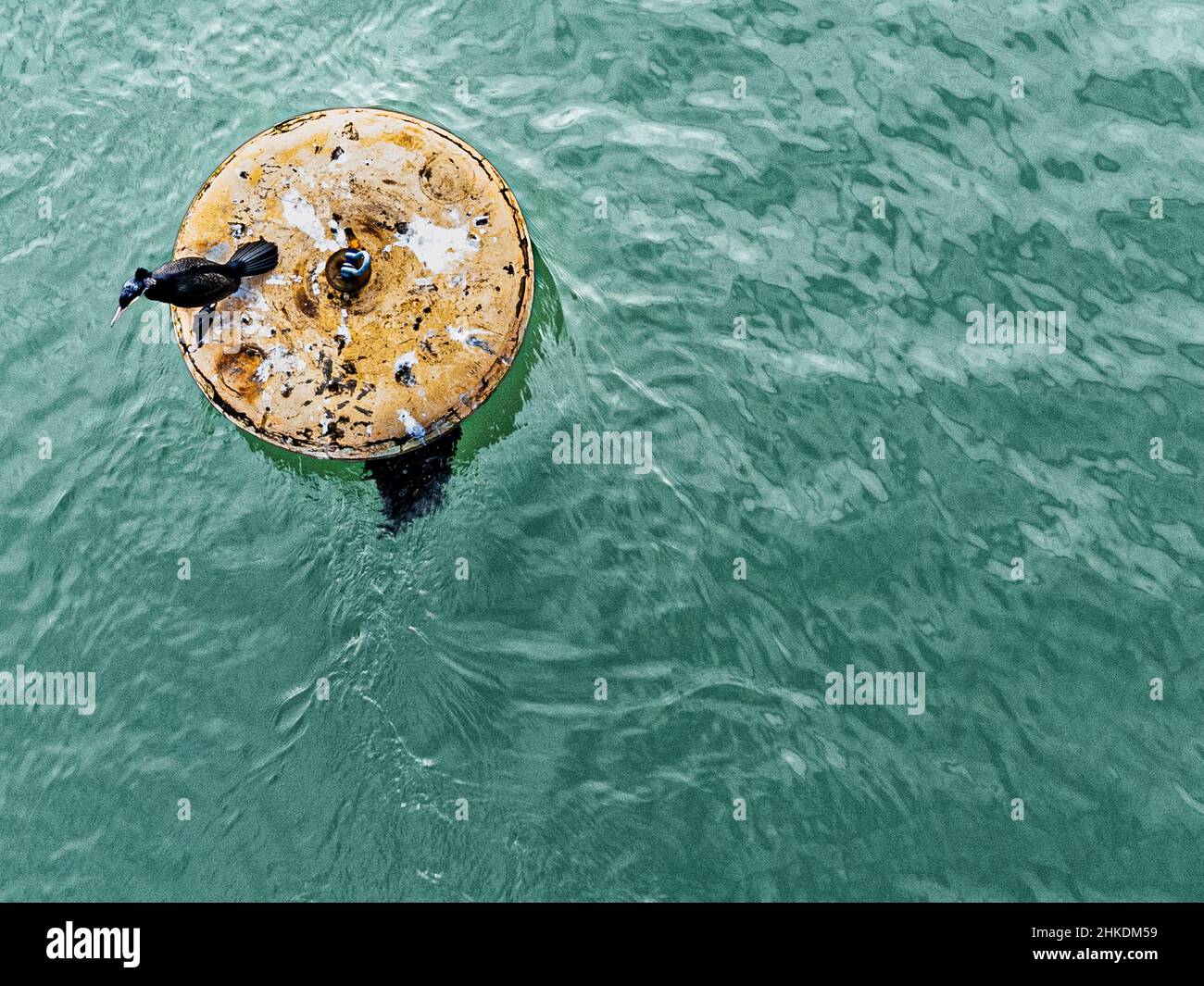 Kormoran auf einer boje -Fotos und -Bildmaterial in hoher Auflösung – Alamy