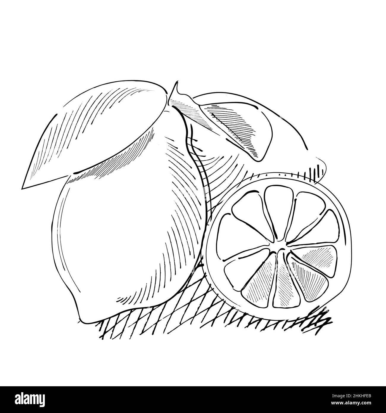 Vektordarstellung von Zitrone im Grafikstil isoliert auf weißem ...