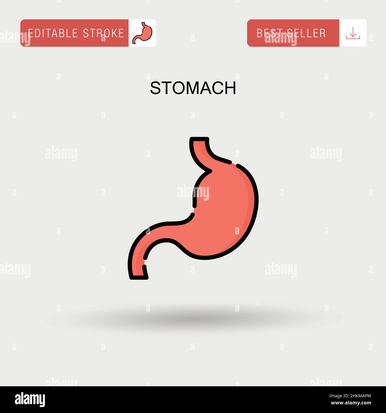 Anatomie des menschlichen magens Stock-Vektorgrafiken kaufen - Alamy