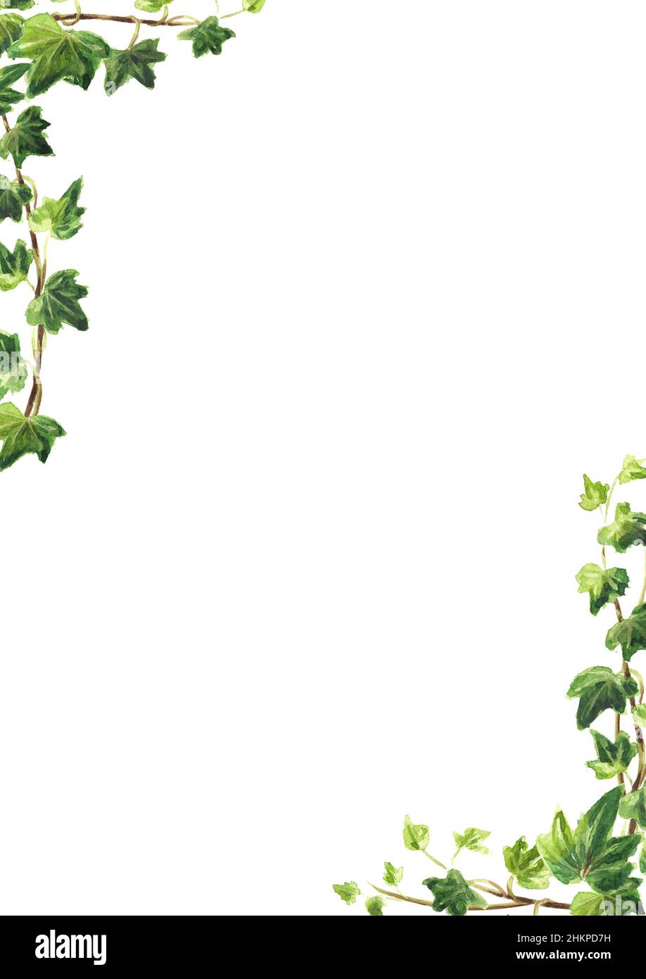 Efeu Zweig mit grünen Blättern Rahmen , handgezeichnete Aquarell ...