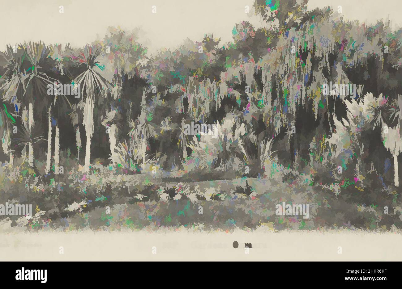 Art Inspired by Gardens, Oamaru, Muir & Moodie Studio, 1905, Oamaru ...