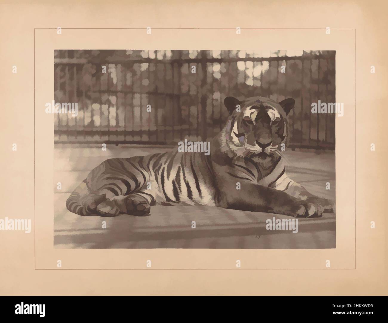 Kunst inspiriert von Tiger in a Zoo, Thomas James Dixon, Herausgeber ...