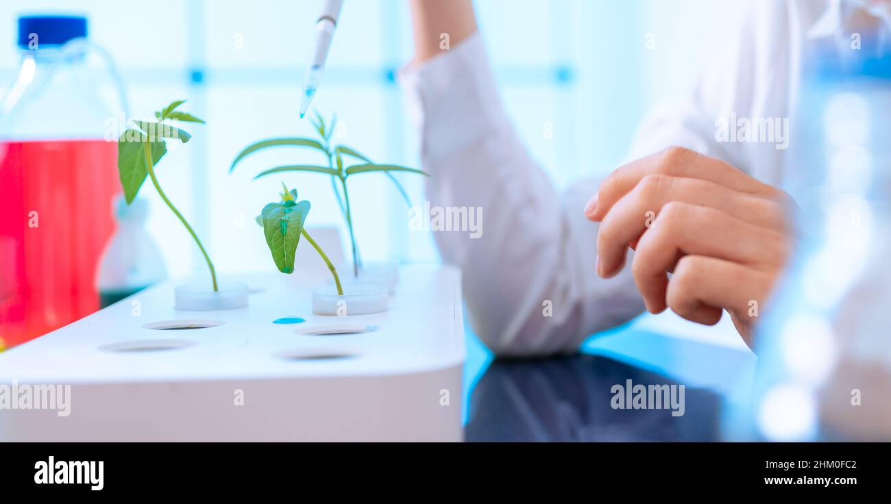 Mädchen Laborassistentin mit einer Pipette Herbizid und Pestizid auf einem Blatt eines grünen ...