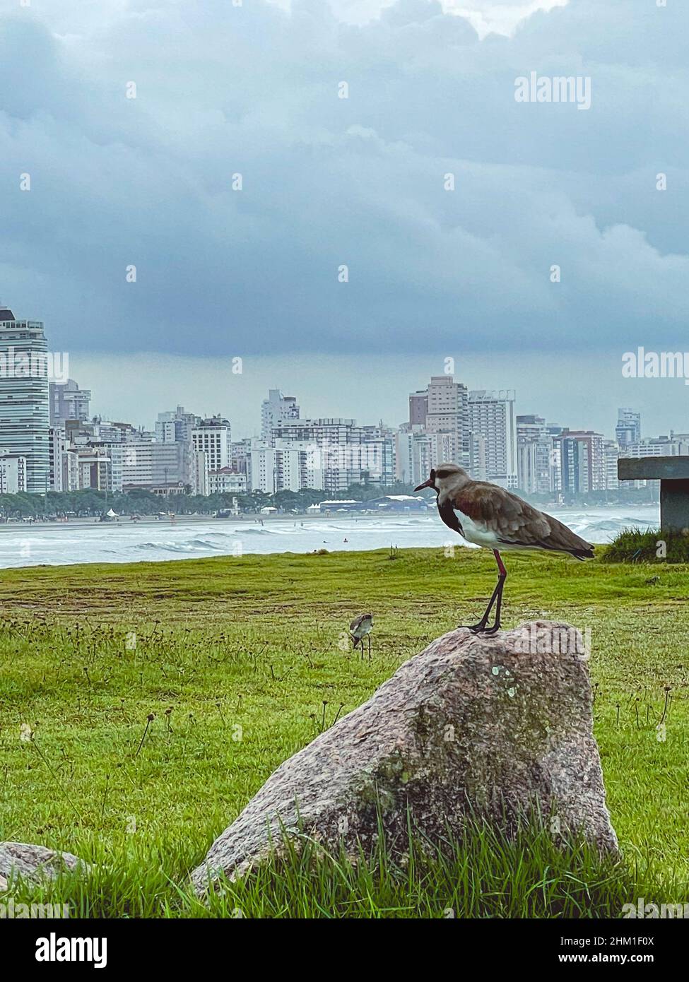 Der schöne Strand von Santos, Sao Paulo, Brasilien Stockfotografie - Alamy