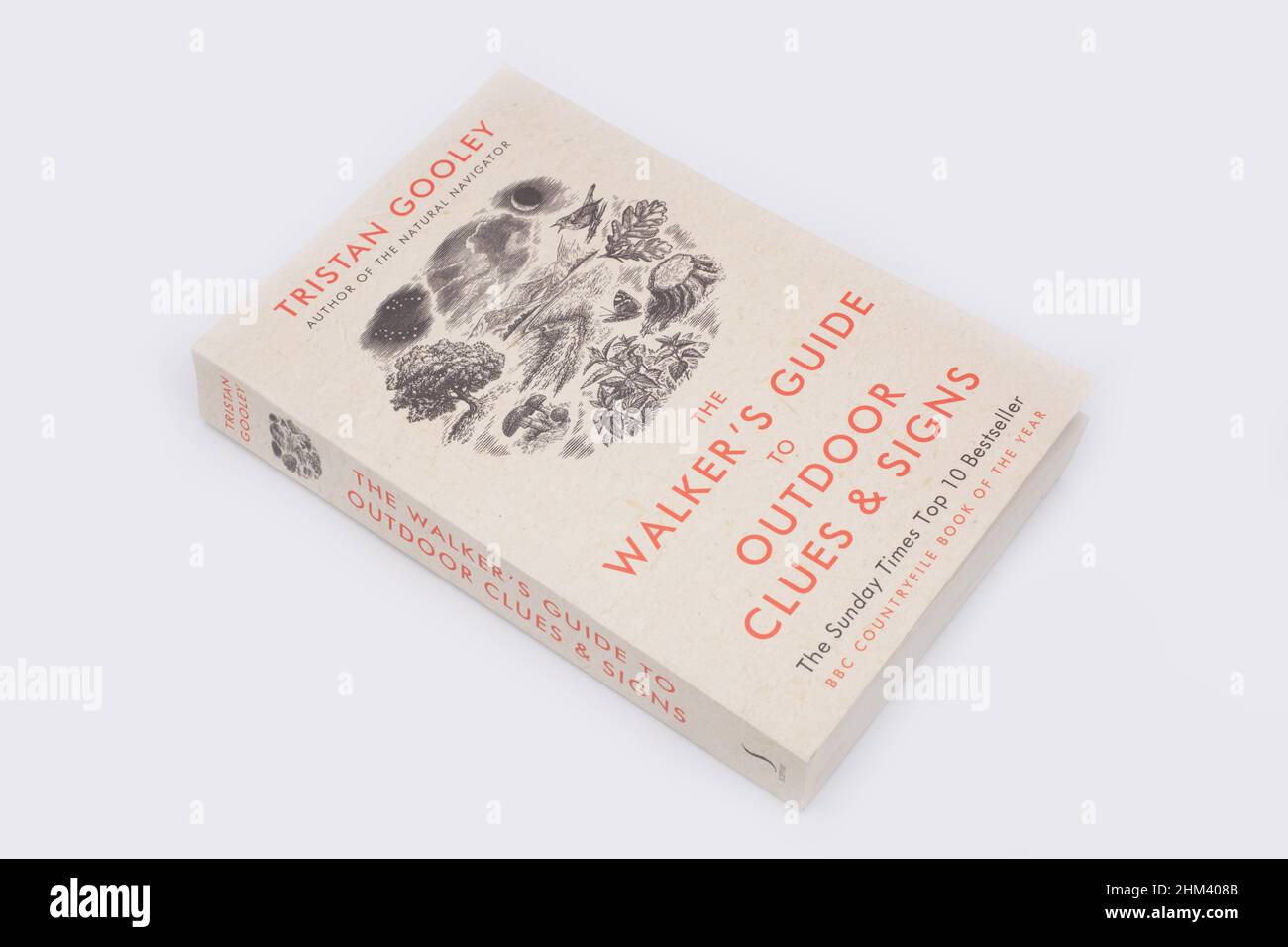 Ihre bedeutung und die kunst, vorhersagen zu treffen -Fotos und ...