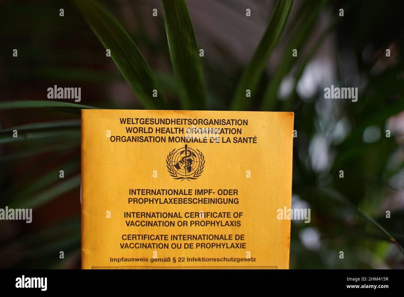 Impfausweis Impfbuch für deutschland Stockfotografie - Alamy