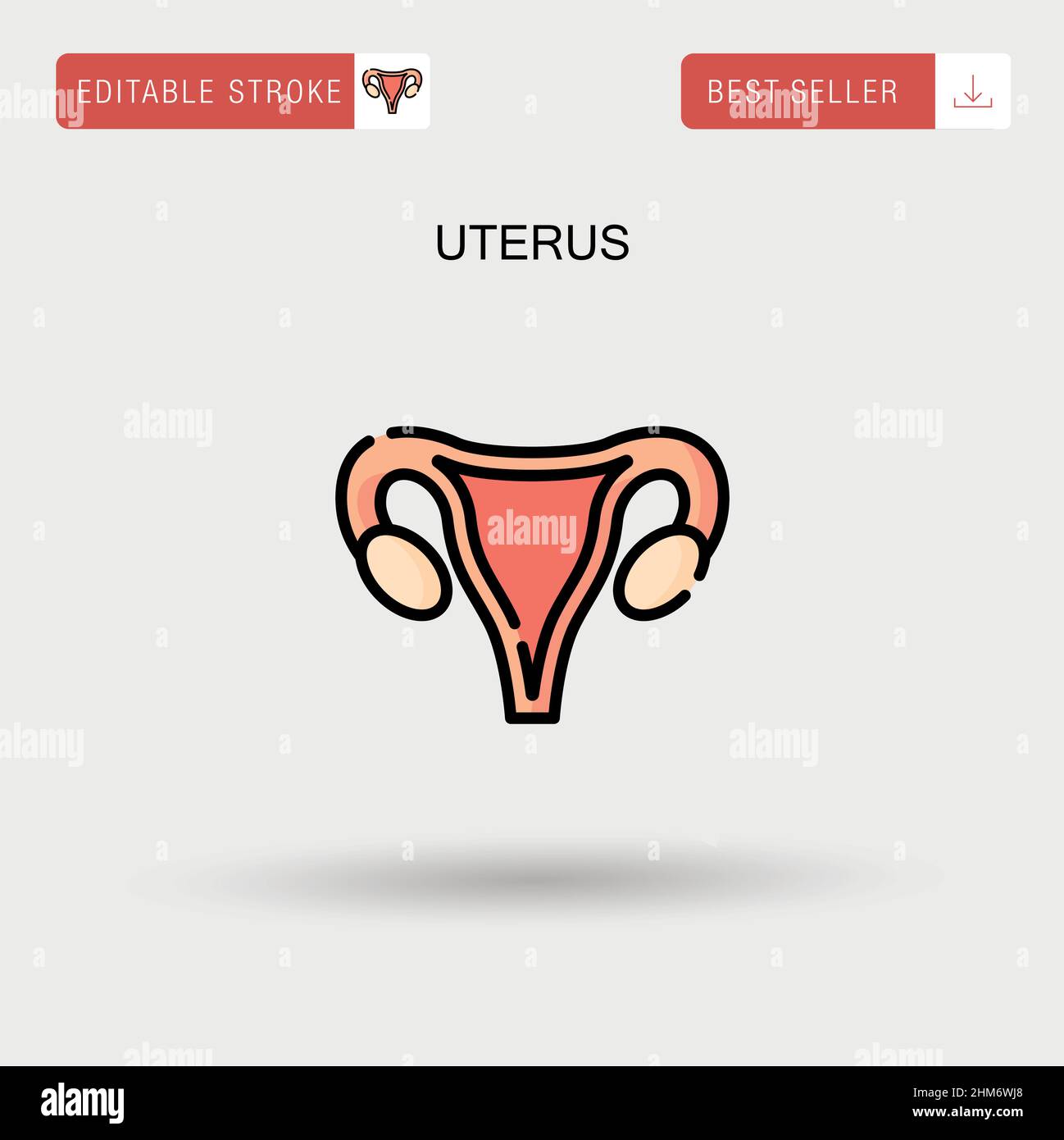 Anatomie uterus schwangerschaft -Fotos und -Bildmaterial in hoher ...