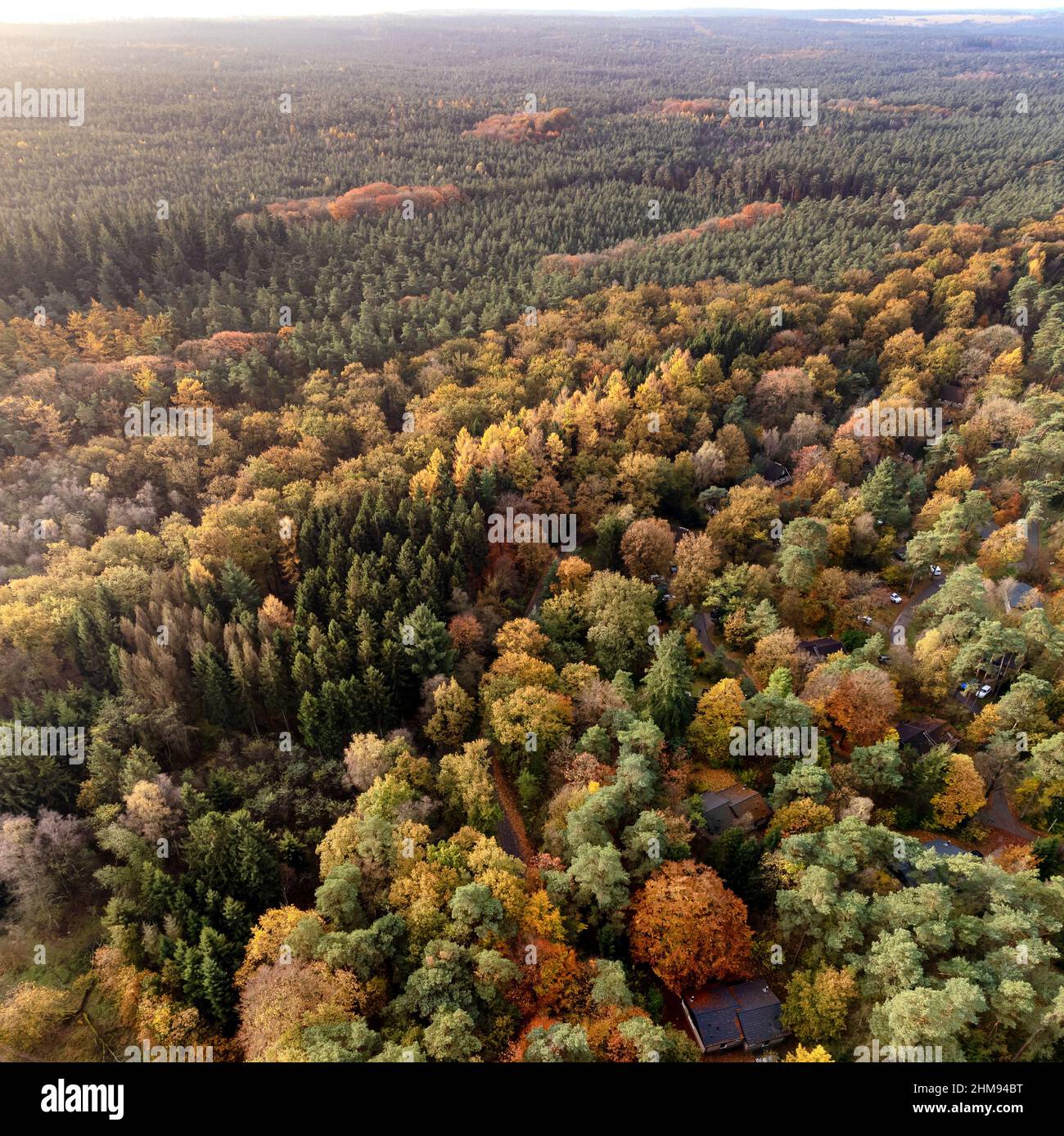 Veluwe region -Fotos und -Bildmaterial in hoher Auflösung – Alamy