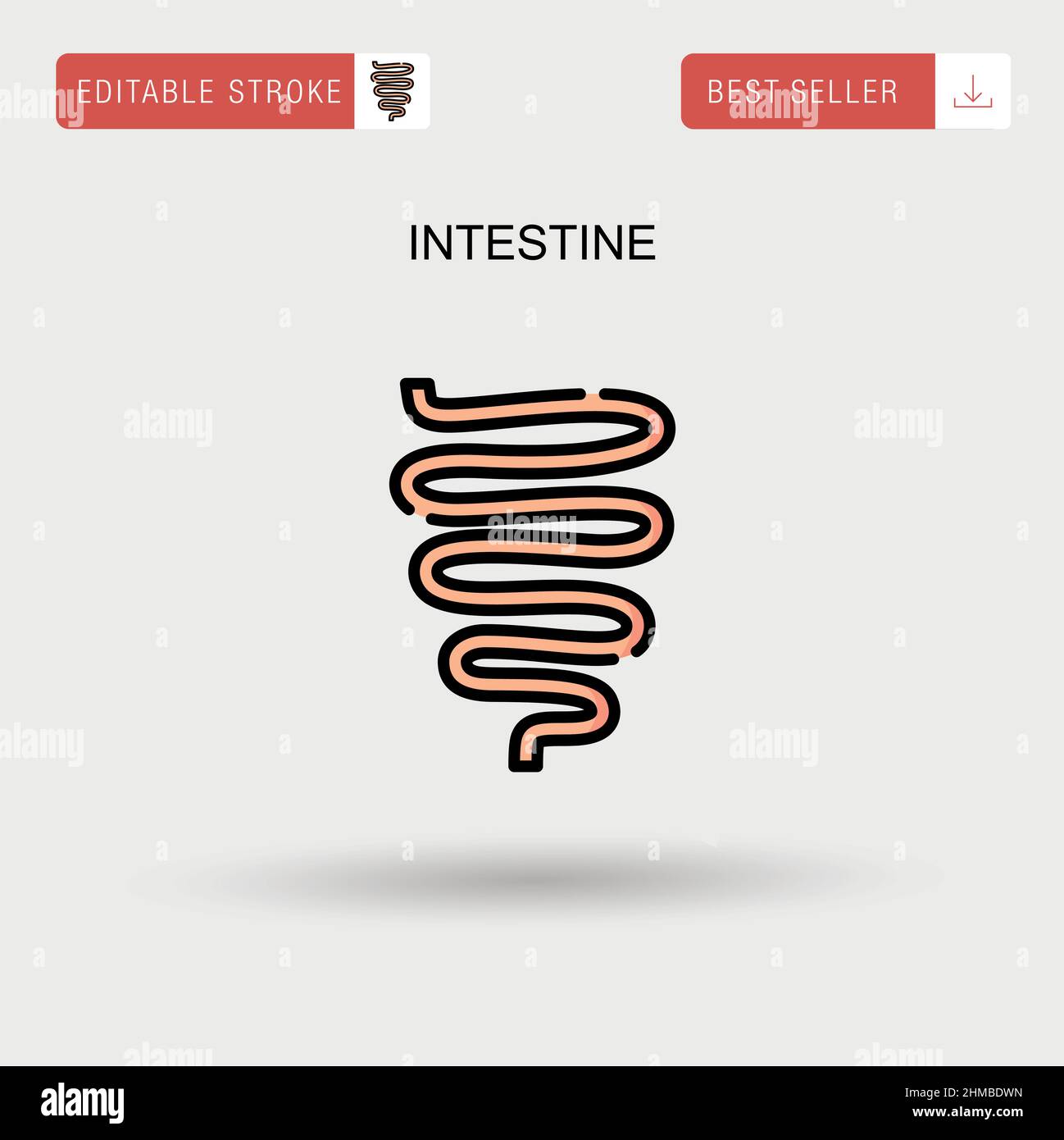 Einfaches Vektor-Symbol für den Darm Stock-Vektorgrafik - Alamy