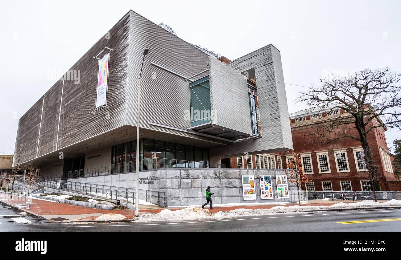 Harvard architektur Stockfotos und -bilder Kaufen - Alamy