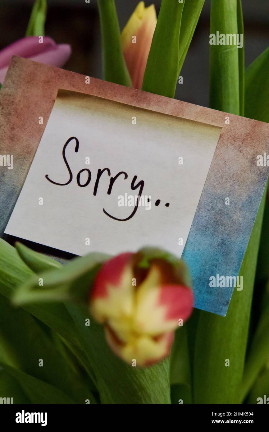 Entschuldigung karte -Fotos und -Bildmaterial in hoher Auflösung – Alamy