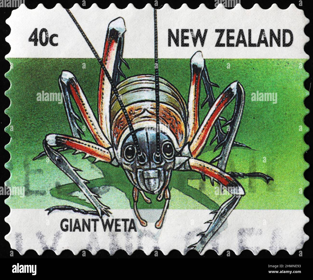 Riese weta, endemisches Insekt von Neuseeland auf Briefmarke ...