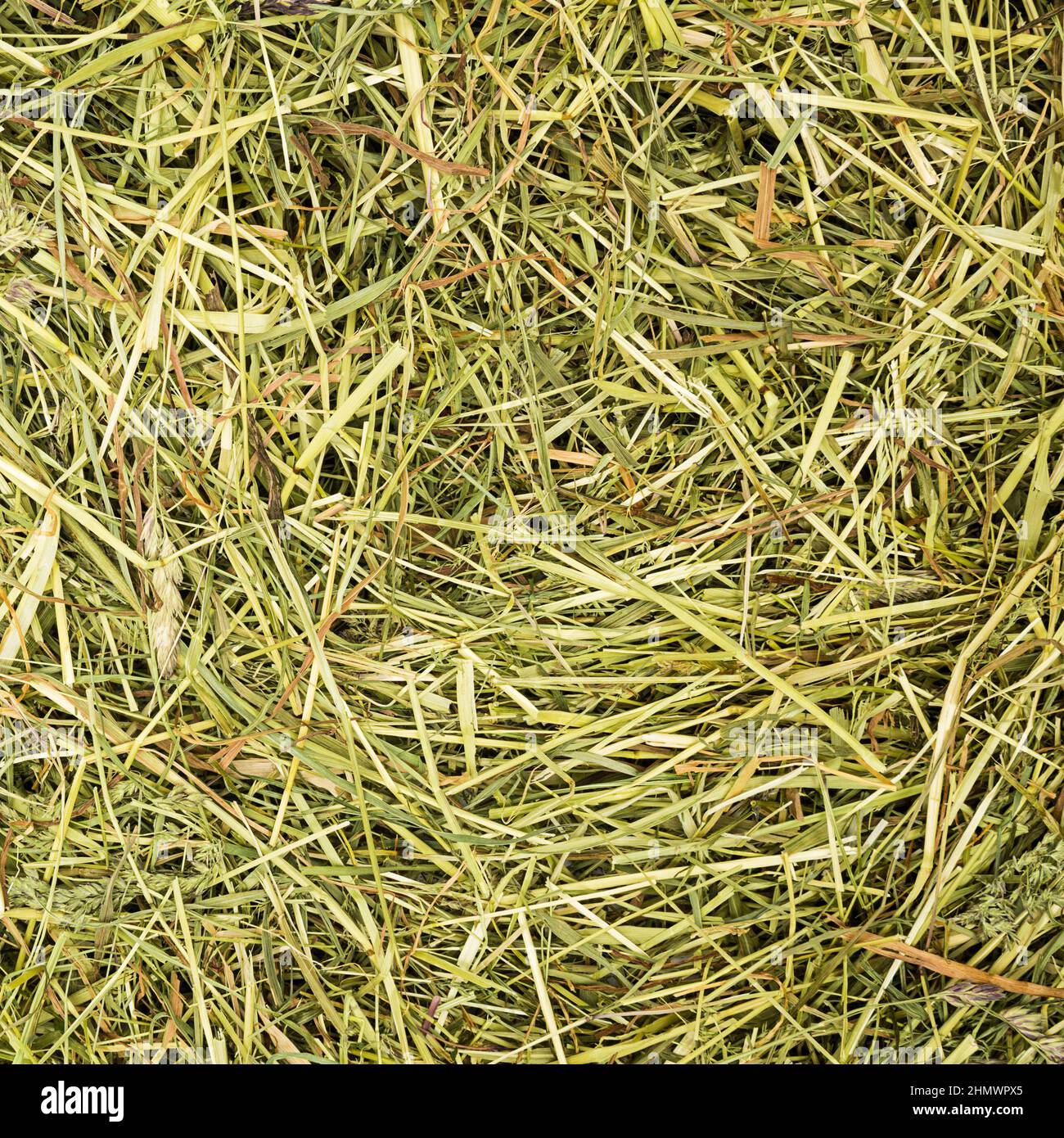 Heu textur -Fotos und -Bildmaterial in hoher Auflösung – Alamy