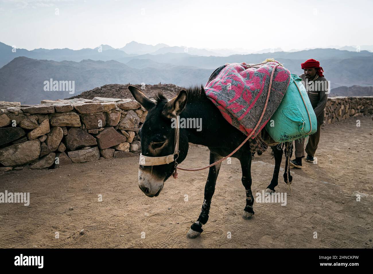 Ein Beduine führt seinen Esel unter die Straße zwischen den Bergen. Der ...