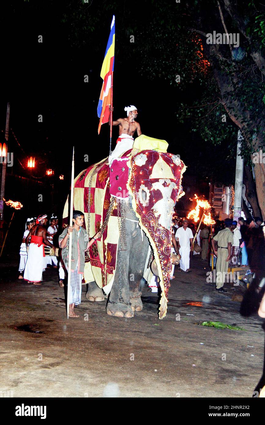 Boy perahera sri lanka -Fotos und -Bildmaterial in hoher Auflösung – Alamy