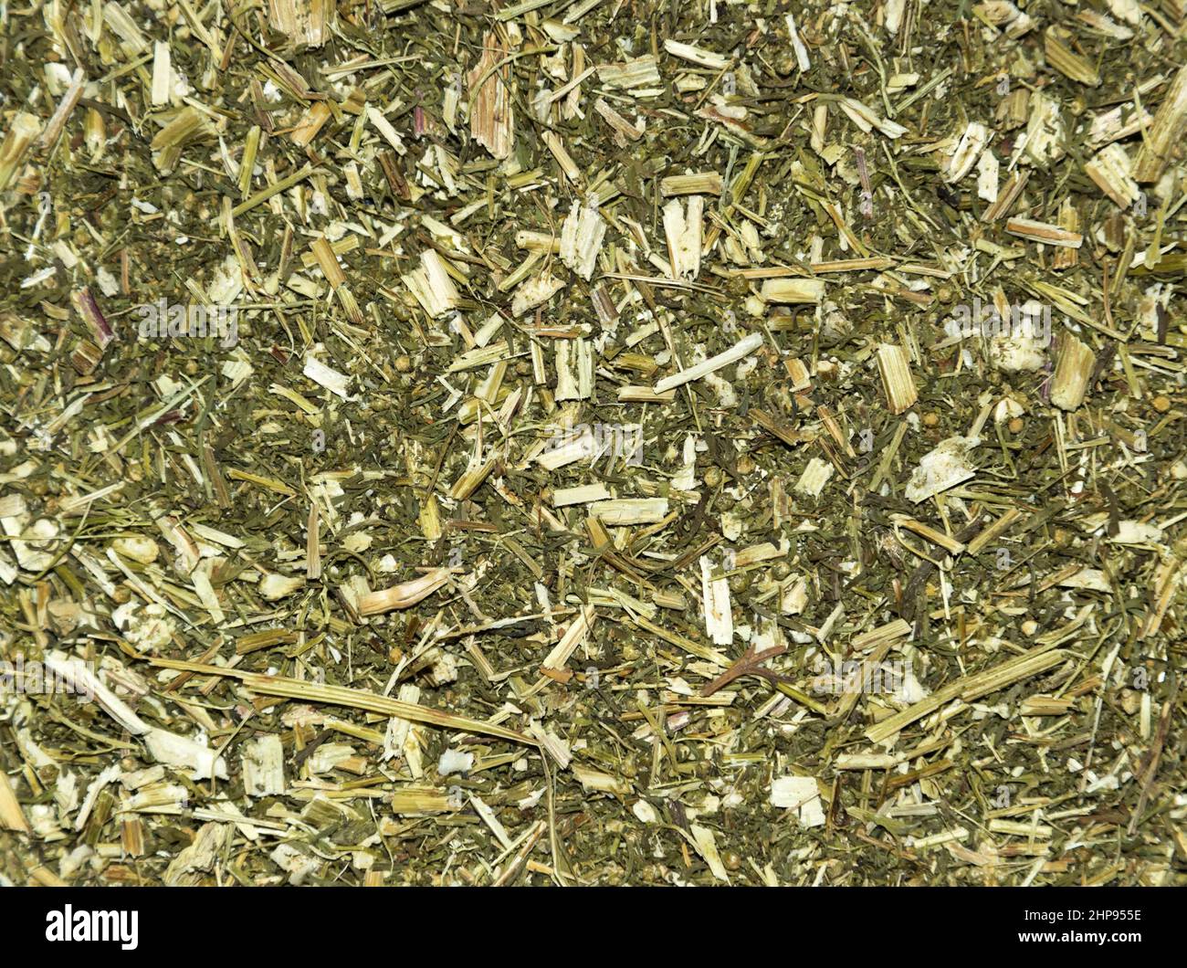 Wermut tees -Fotos und -Bildmaterial in hoher Auflösung – Alamy