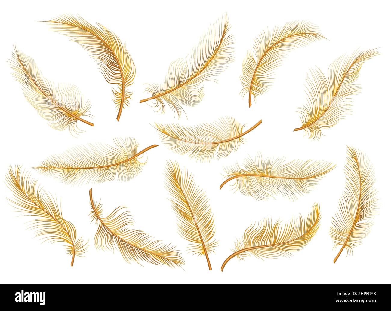 Logo mit feder gold illustration -Fotos und -Bildmaterial in hoher ...