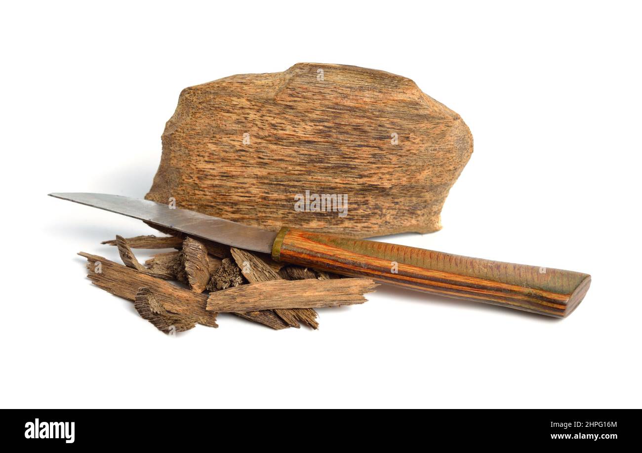 Adlerholz pflanzen Stockfotos und -bilder Kaufen - Alamy
