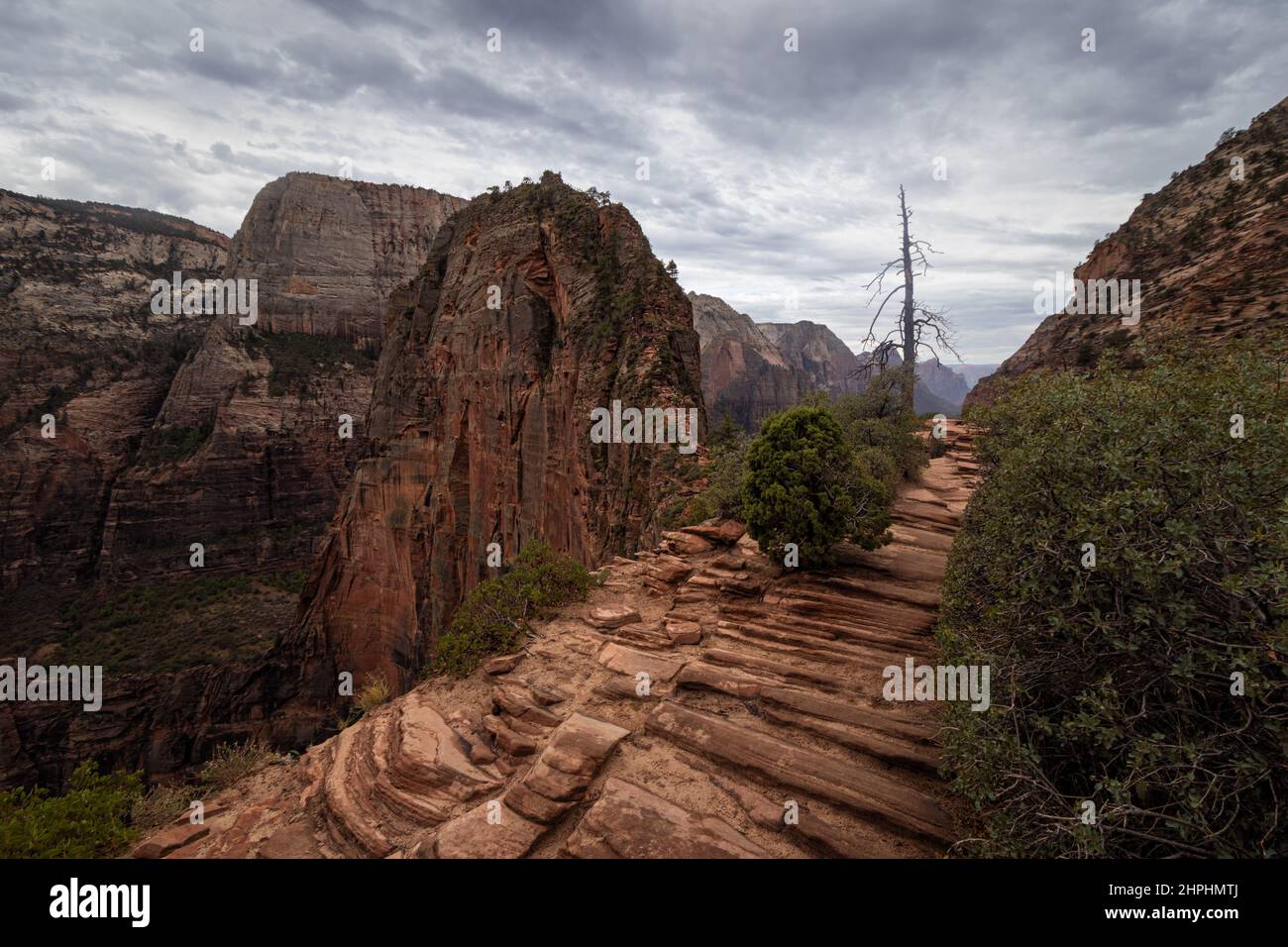 Angels landing cliff -Fotos und -Bildmaterial in hoher Auflösung – Alamy