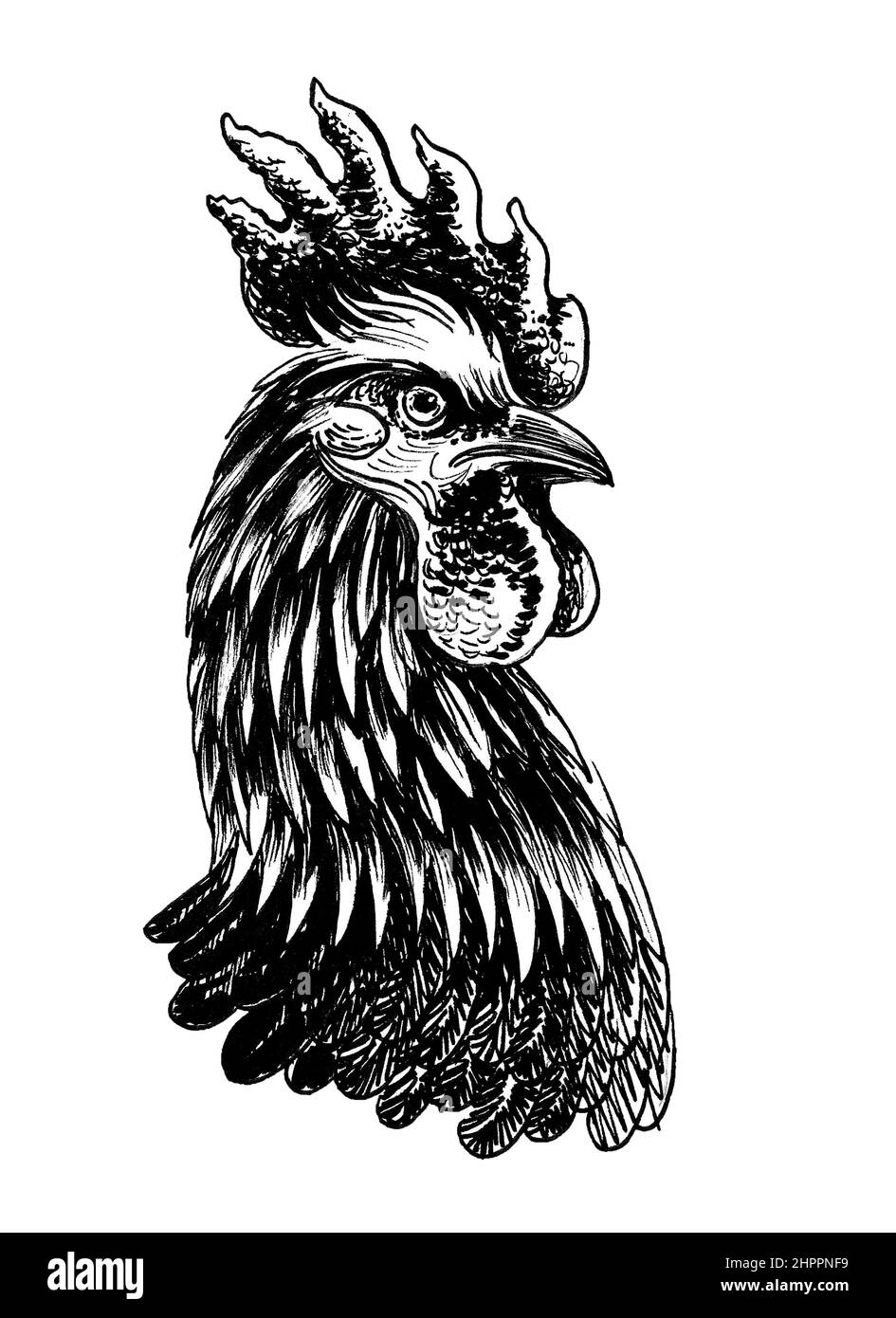 Hahnenkopf zeichnung Stockfotos und -bilder Kaufen - Alamy