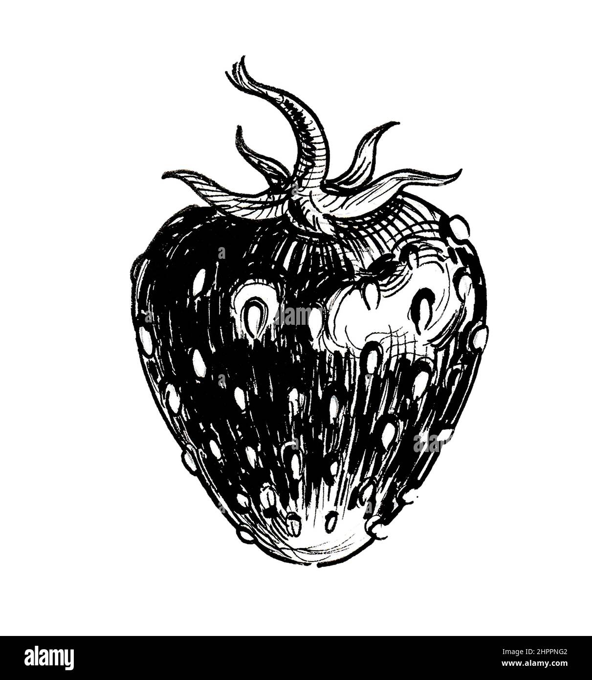 Erdbeere zeichnung schwarz weis -Fotos und -Bildmaterial in hoher ...
