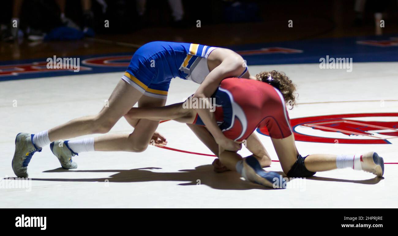 Wrestling fight -Fotos und -Bildmaterial in hoher Auflösung – Alamy