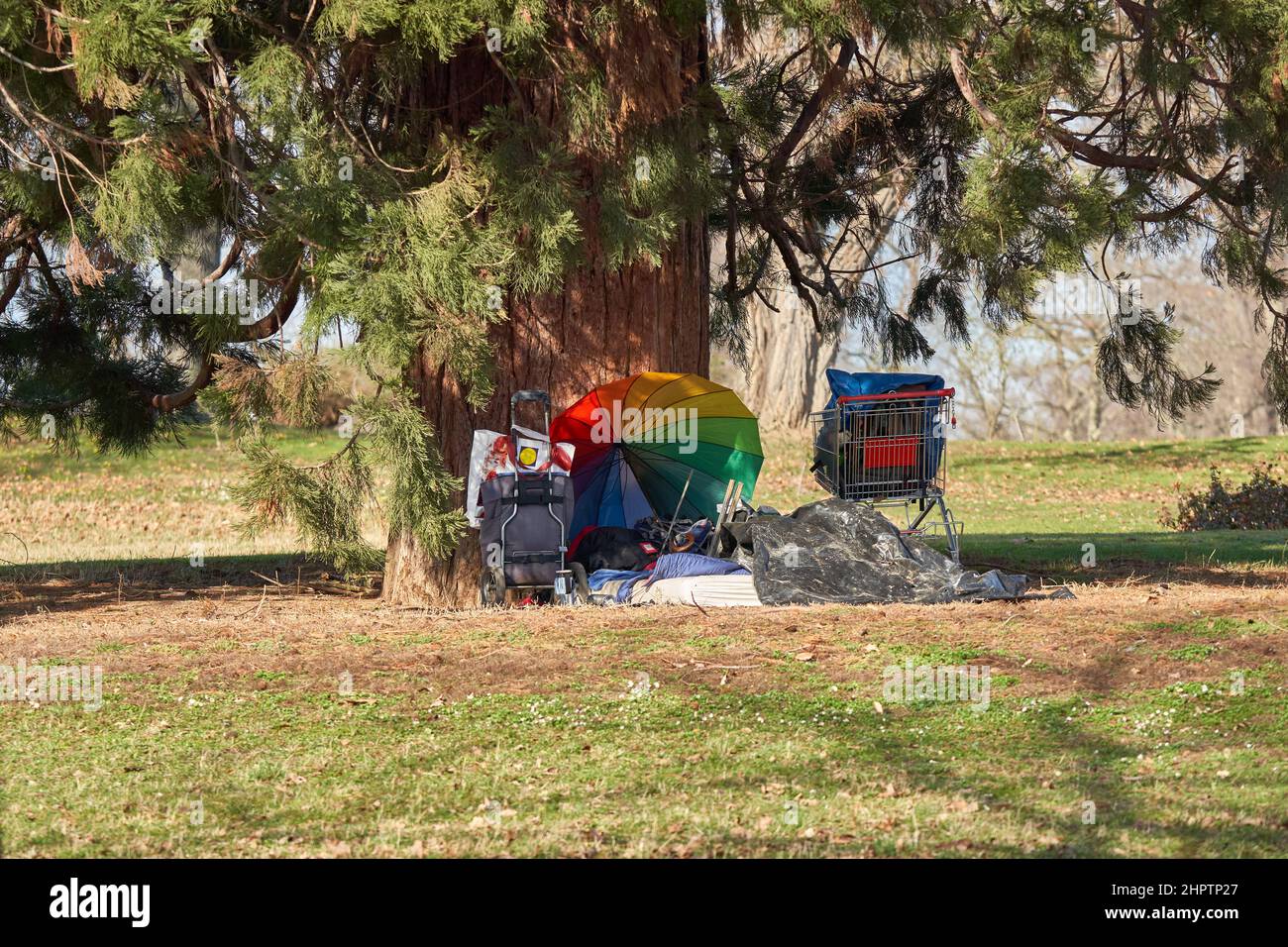 Armer mann unter baum -Fotos und -Bildmaterial in hoher Auflösung – Alamy