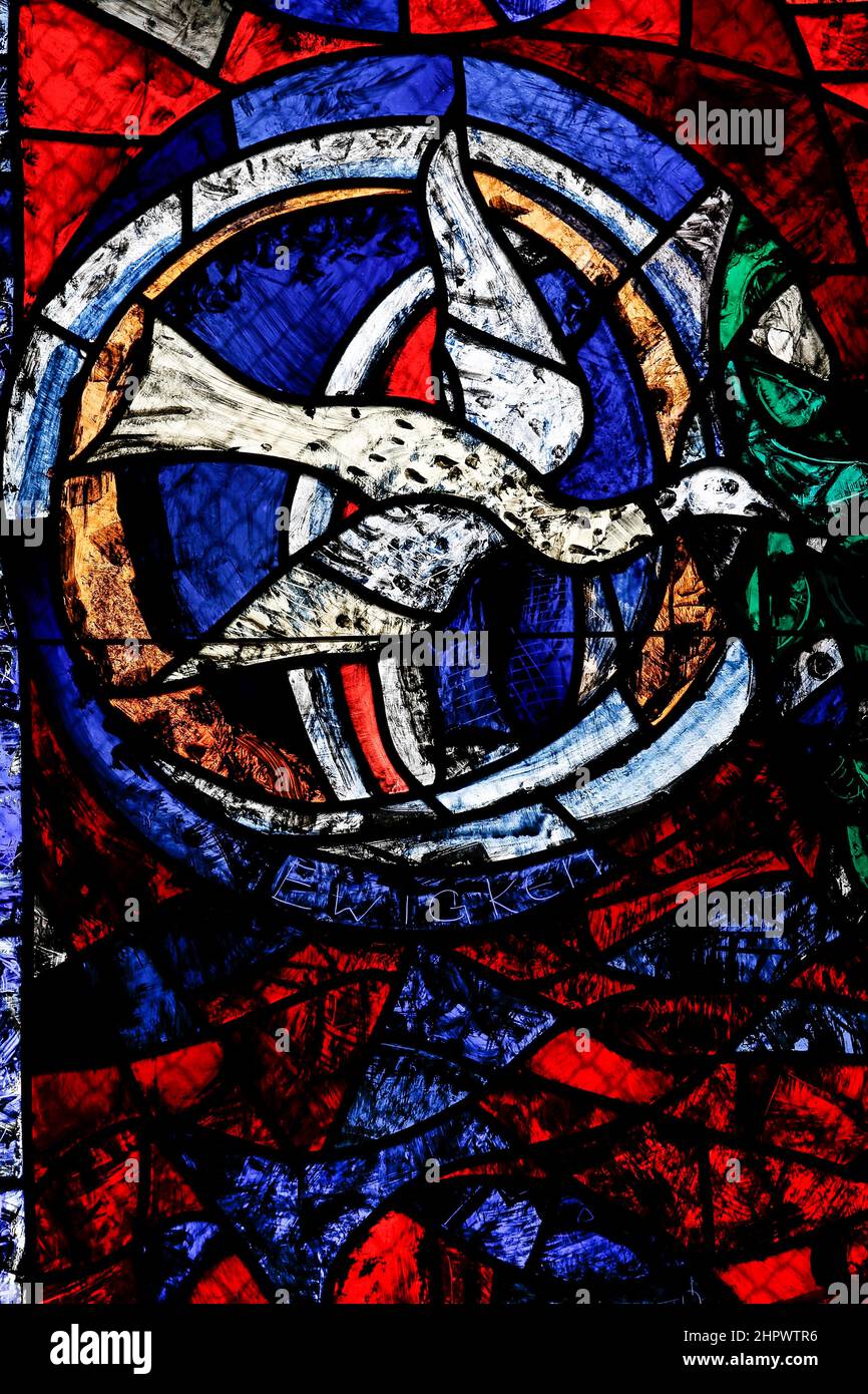 Taube mit zweig -Fotos und -Bildmaterial in hoher Auflösung – Alamy