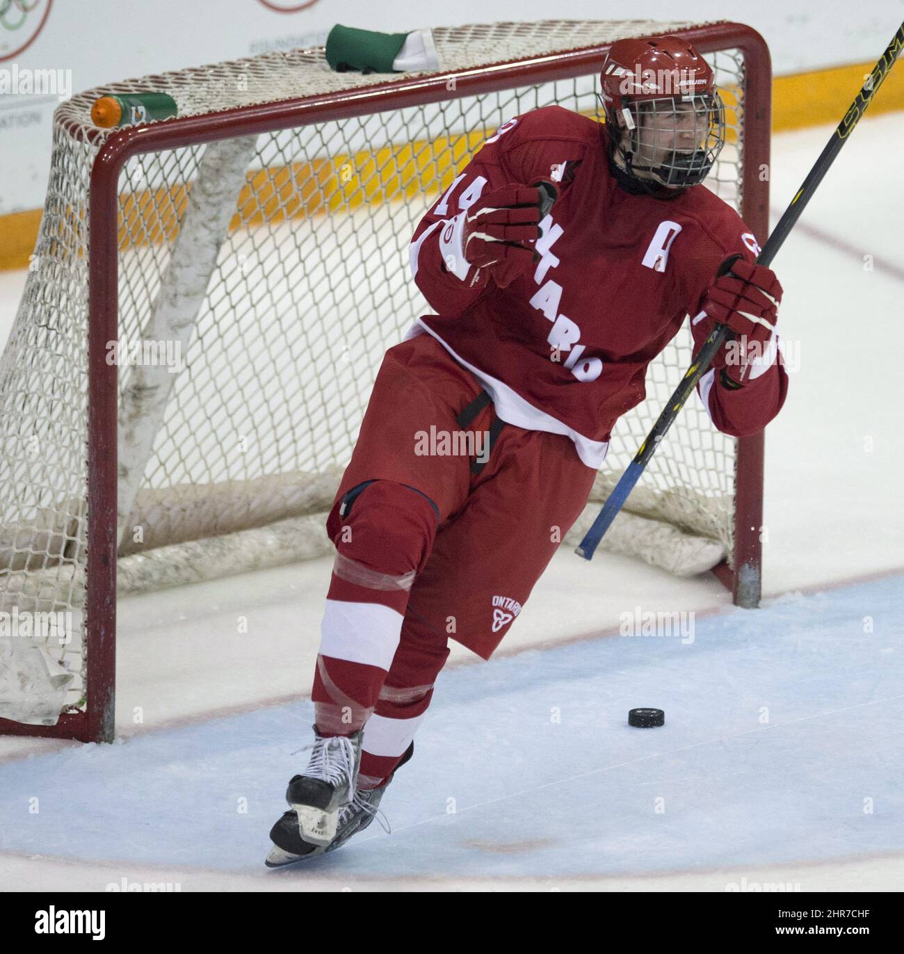 Ontarios Zachary Gallant feiert sein Ziel während der dritten Periode ...