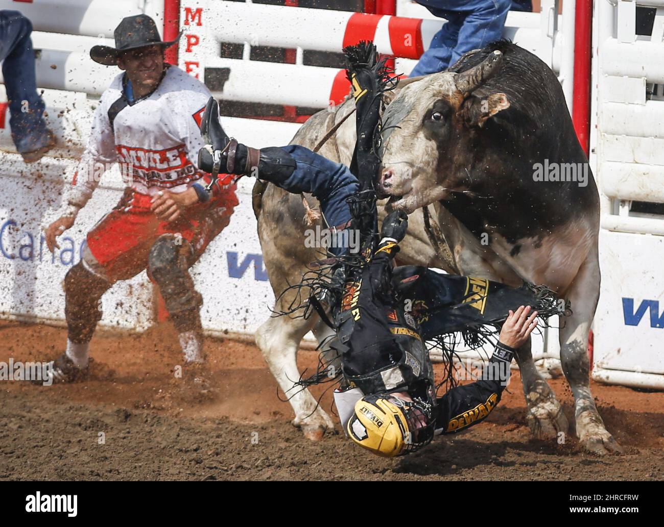 Jess Lockwood aus Volberg, Montana, wird Johnny Gringo beim ...