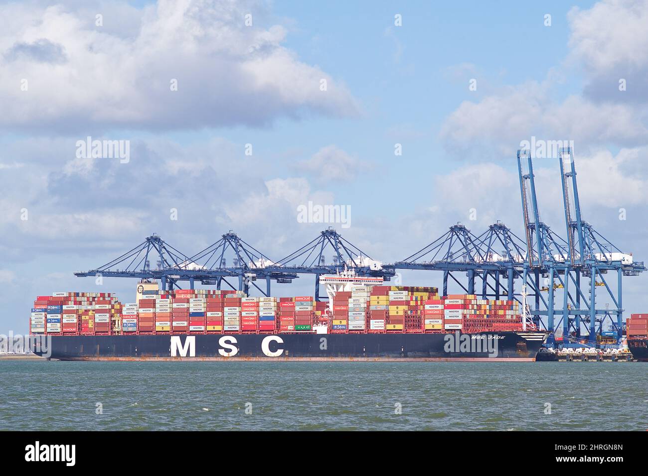 Msc jade -Fotos und -Bildmaterial in hoher Auflösung – Alamy