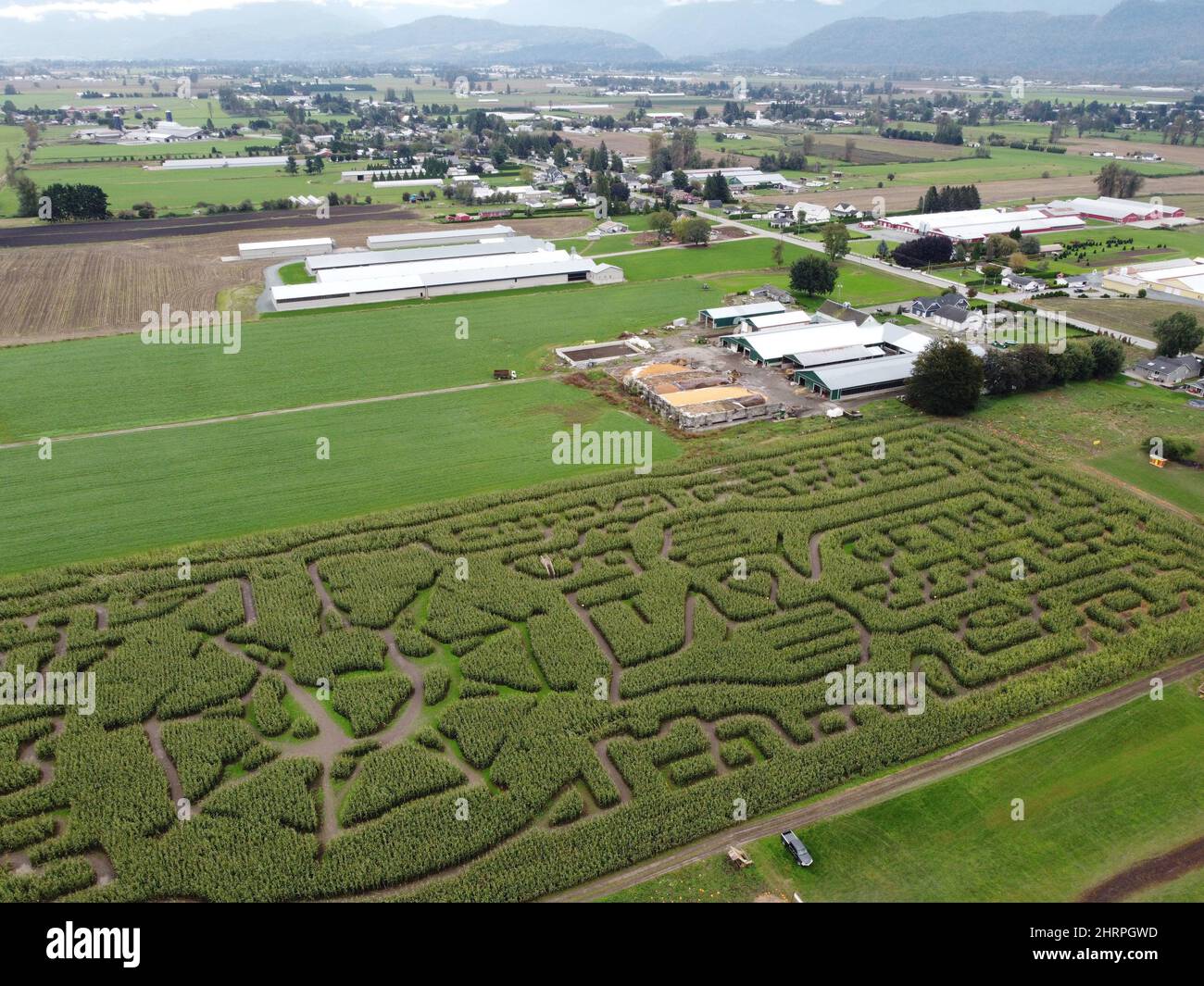 Die Chilliwack Corn Maze ist mit einem riesigen Schnitt aus dem ...