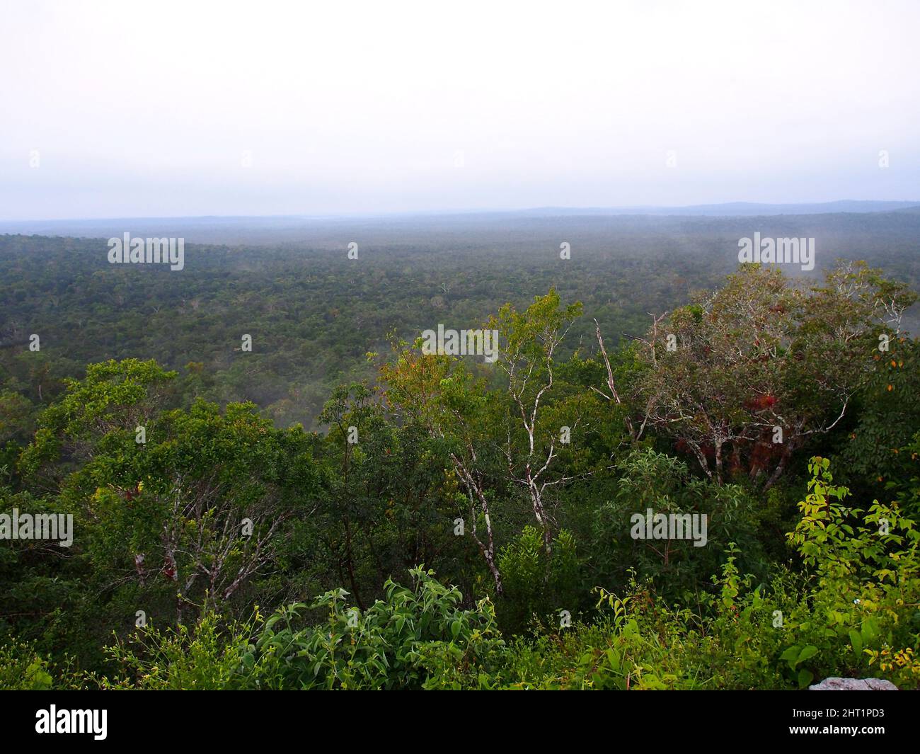 La Danta Pyramid Stockfotos und -bilder Kaufen - Alamy