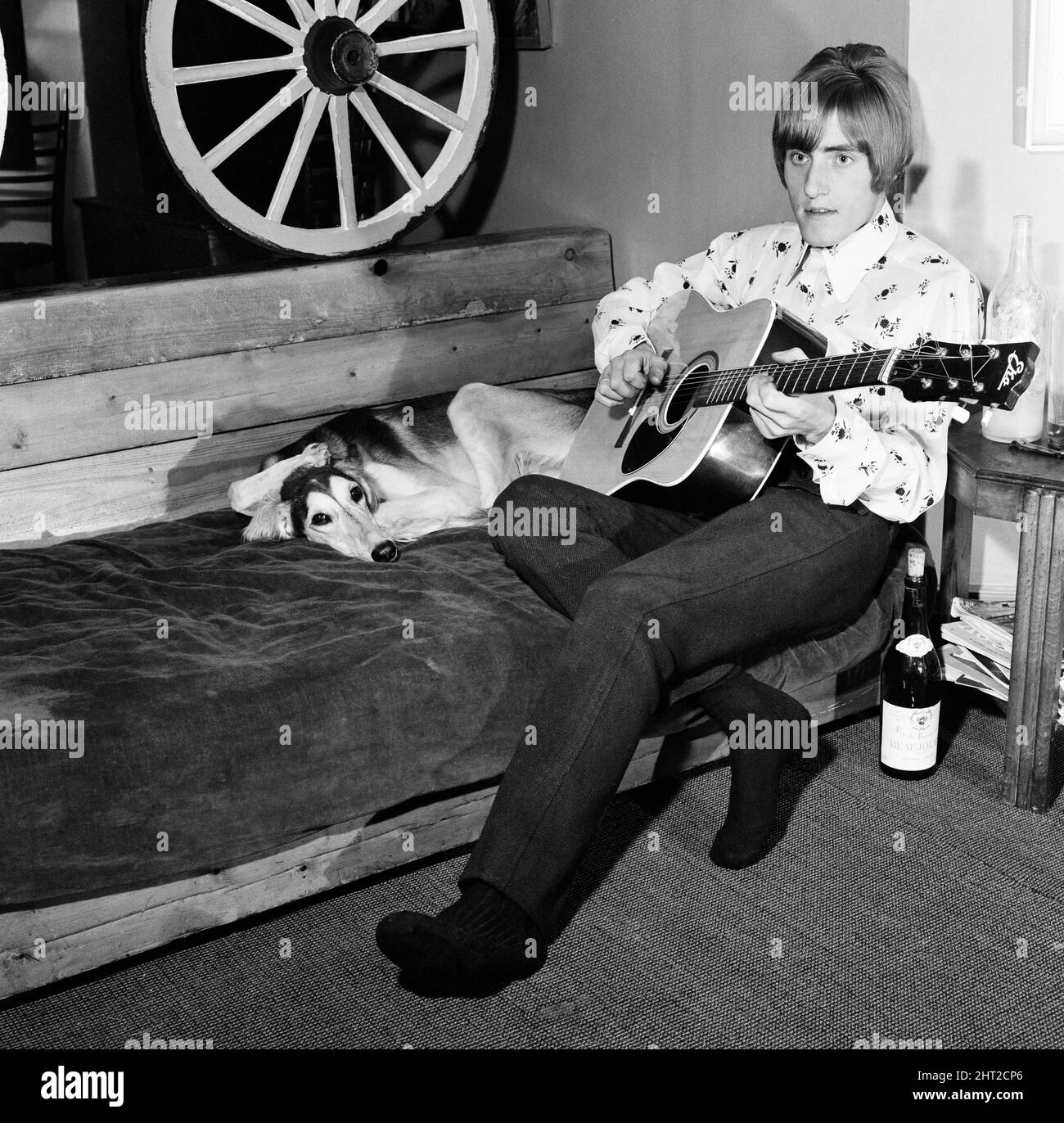 Benannte maus -Fotos und -Bildmaterial in hoher Auflösung – Alamy